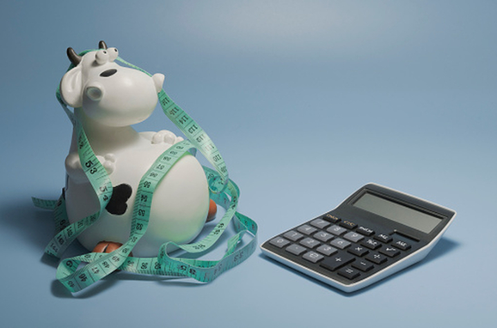 How To Get Started With RWL